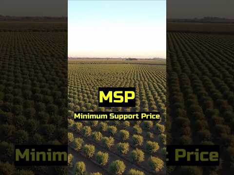 What is MSP | Minimum Support Price Explained #msp #farmersprotest #loksabhaelections2024