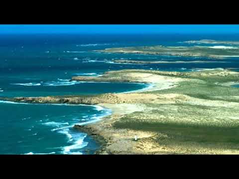Scientists Detect Radioactivity 4,500 times Higher Than Normal Off The Coast of Australia!