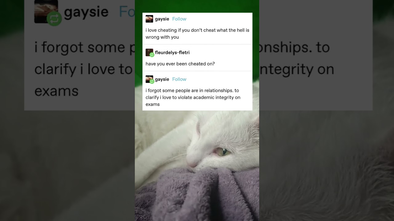The tweet about cheating that caused a major misunderstanding #snowypawshorts