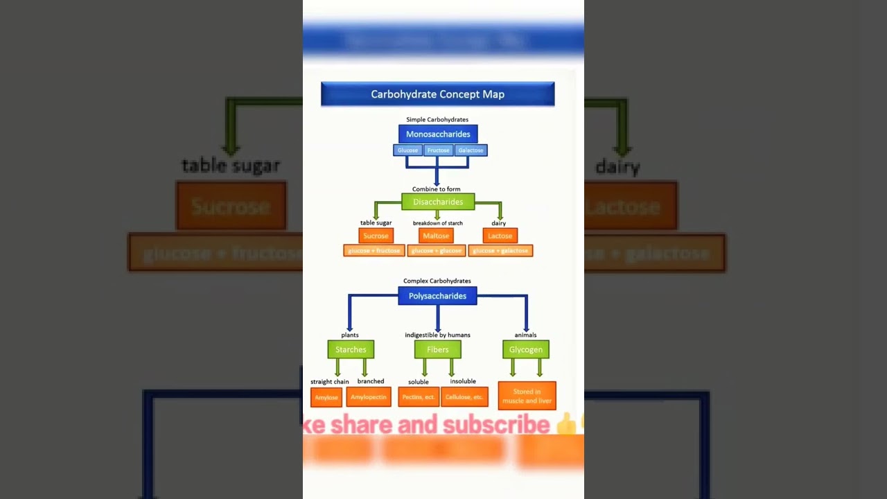Morning motivation ||carbohydrate mind map #students #motivation#shorts