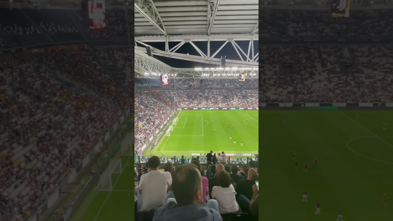 Visuale Allianz Stadium Torino - Settore 203, fila 11