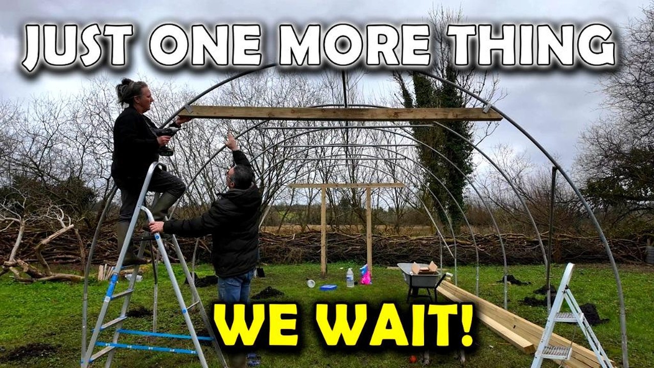 Polytunnel Restoration Is Almost COMPLETE! Now We Wait!