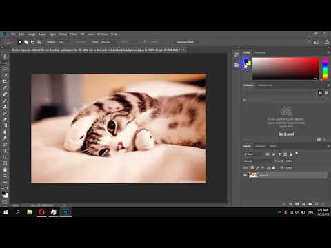 How To Enable Compression of PSD and PSB Files in Photoshop CC