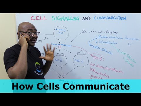 Cell Signalling And Communication