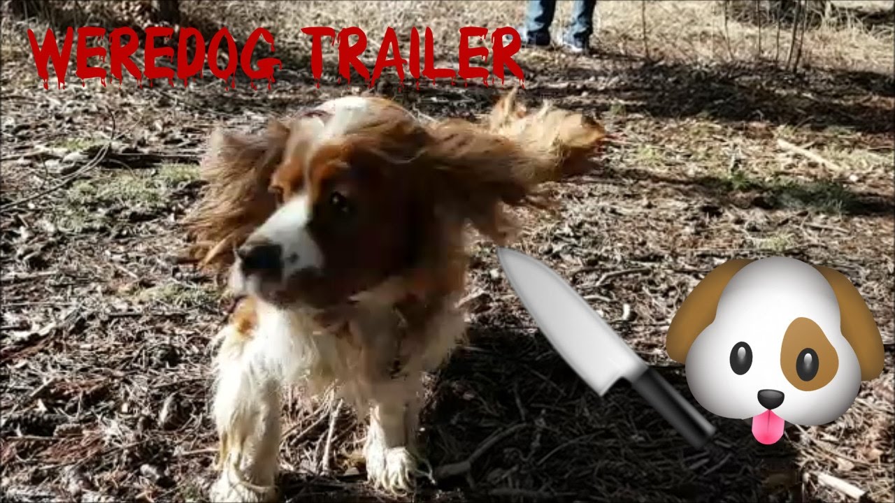 WEREDOG TRAILER!