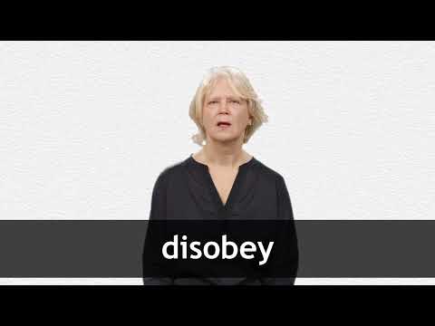 DISOBEY definition and meaning | Collins English Dictionary