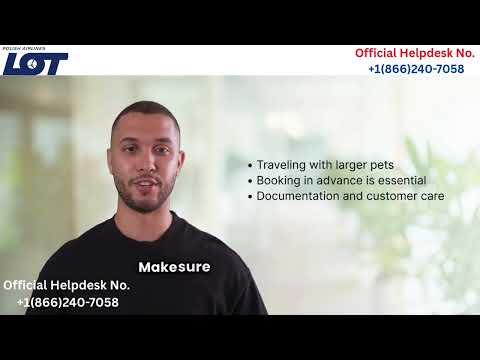 Flying internationally with a pet on LOT Polish Airlines 2025