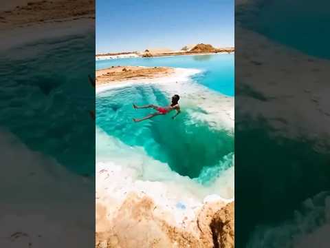 Floating in the dead sea #shorts #interestingfact #shockingfacts #facts