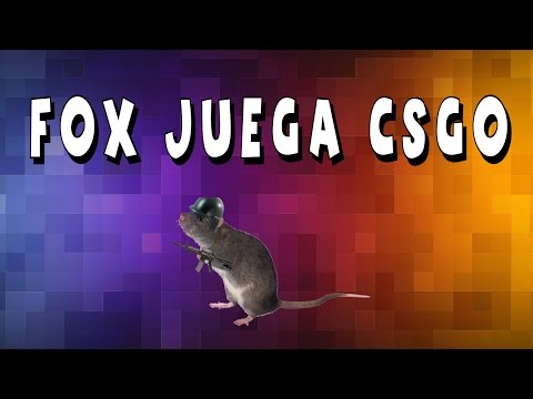 Steam Community :: Video :: FOX JUEGA CSGO | GAMEPLAY ESPAÑOL PC