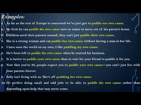 10 Example Sentences of Paddle your own canoe w