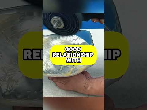 Reddit Stories shorts