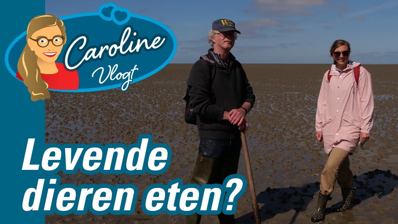 Naar AMELAND om uit de zee te eten | Caroline vlogt #40
