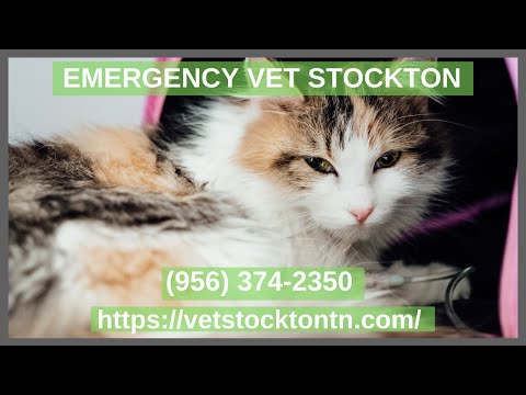 Emergency Vet Stockton