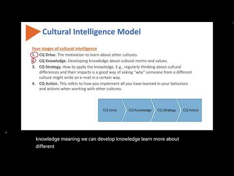 Human Relations: Cultural Intelligence (CQ)