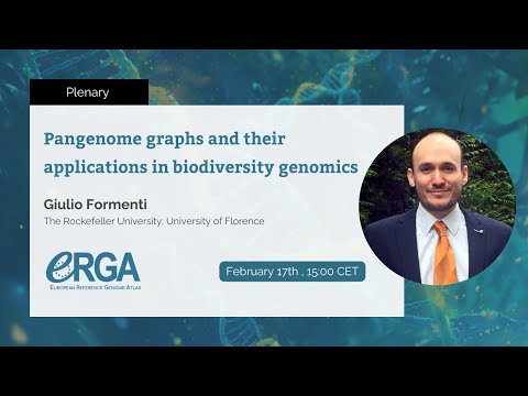 Pangenome graphs and their applications in biodiversity genomics - January 2025