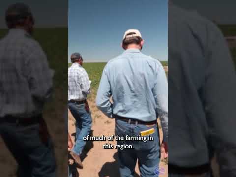 Farmers on the Cutting Edge of Water Conservation