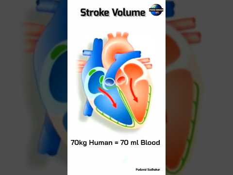 Stroke Volume of heart | #stroke volume| Normal stroke volume