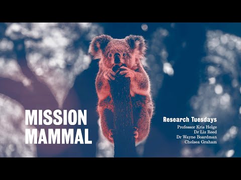 Mission Mammal - Research Tuesdays August 2019