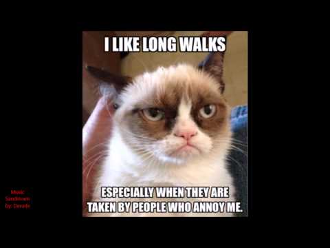 Best of Grumpy Cat 2014 || HAPPY NEW YEAR!!