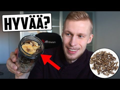 Syötäviä Heinäsirkkoja Postissa? | Avataan Pakeetteja