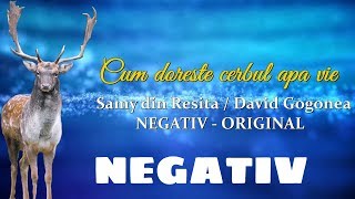 CUM DORESTE CERBUL APA VIE / NEGATIV ORIGINAL (( CANTARE NOUA )) 4K VIDEO Acordes - Chordify