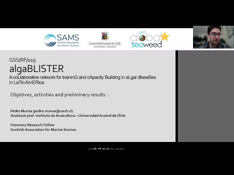 GSS/RF/019 Project Overview - GlobalSeaweedSTAR Research & Innovation Fund
