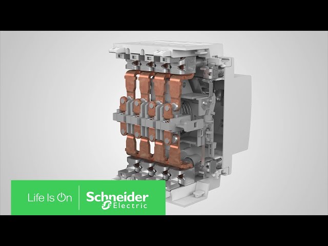 Circuit Breaker - Dsine Mccb 250 AMP. Trader - Retailer from New Delhi