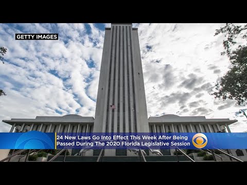 New Florida Laws On License Plates, Veterans, Shark Fins Hitting The Books This Week