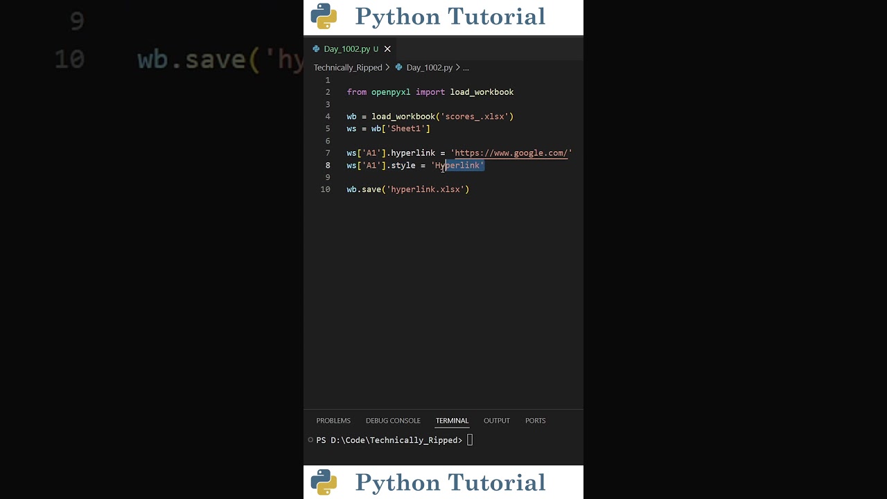 Add Hyperlinks to Excel With Openpyxl | Python Tutorial