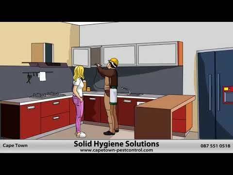Cape Town Solid Hygiene Solutions Pest Management & Deep Cleaning Services