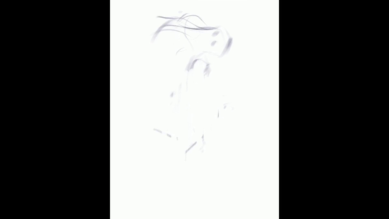 the spirit (procreate process)