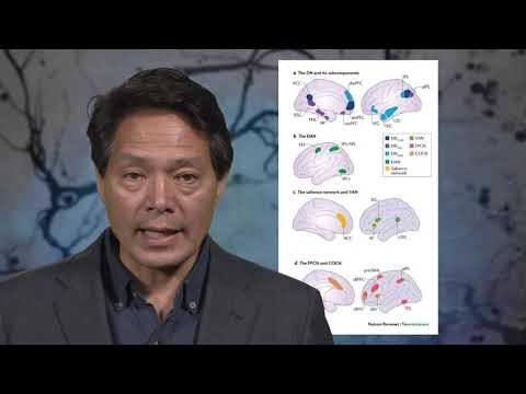 4.21 The neural circuitry of volitional thought