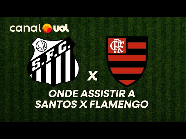 Transmissão ao vivo de Santos x Flamengo pelo Brasileirão: veja onde assistir