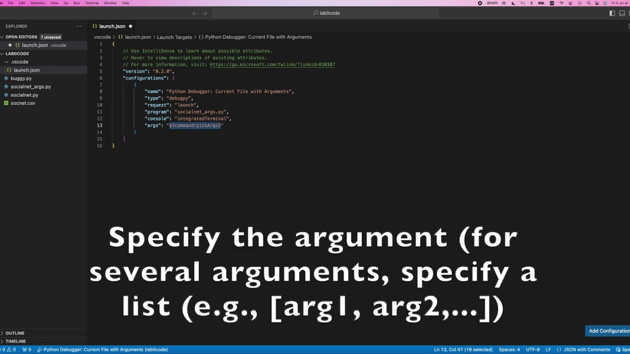 How to pass arguments to a Python script (Visual Studio Code)