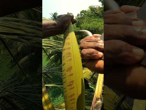 Why making a #rare Indian #liquor is so dangerous. #India