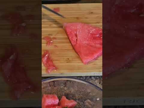 Salade de melon d'eau de Josée di Stasio