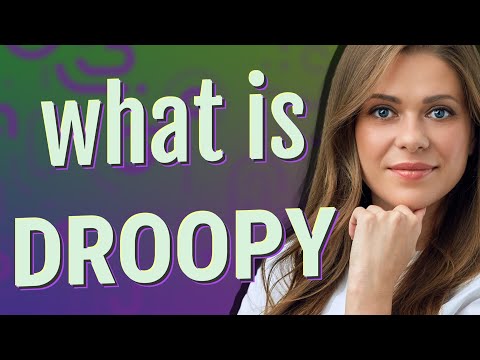 Droopy | meaning of Droopy