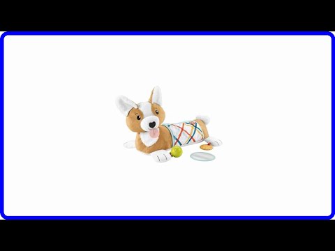 REVIEW (2025): Fisher-Price Plush Puppy Wedge. ESSENTIAL details.