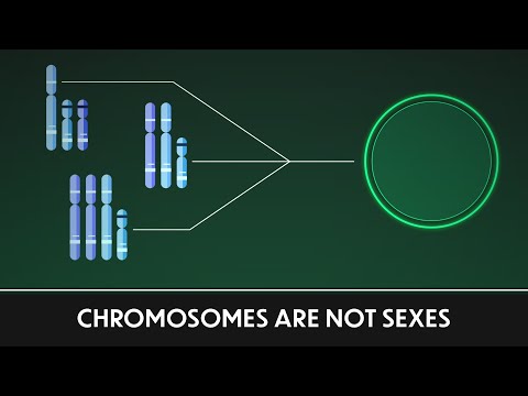 Chromosomes Are Not Sexes