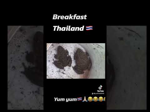 Breakfast in Thailand #music #rocknroll #kiss #pattaya #food #thaiculture #thailand #streetfood