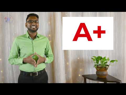 Social Studies - Grade 11: Regional Integration and CARICOM - Pt. 3
