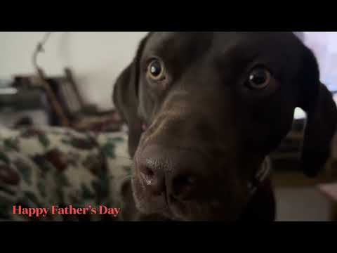 Dog says Happy Father’s Day, or is trying to 😂. Happy Father’s Day ♥️ from Reese the doggo and us.