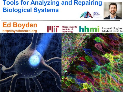 Tools for Analyzing and repairing Biological Systems