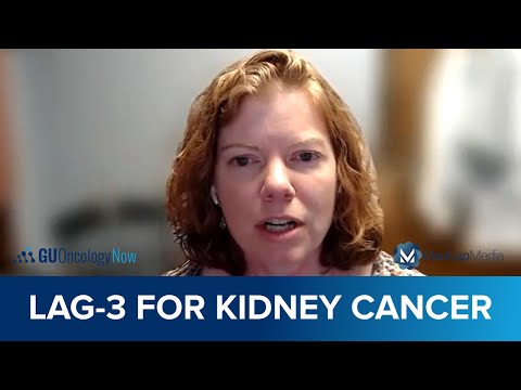 The Potential Synergistic Power of LAG-3 and PD-1 in Kidney Cancer