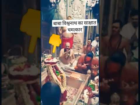Kashi Vishwanath Live Arti Shivling Darshan