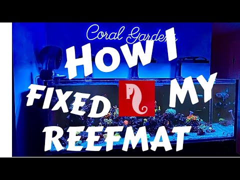 Reef Mat broken already!!