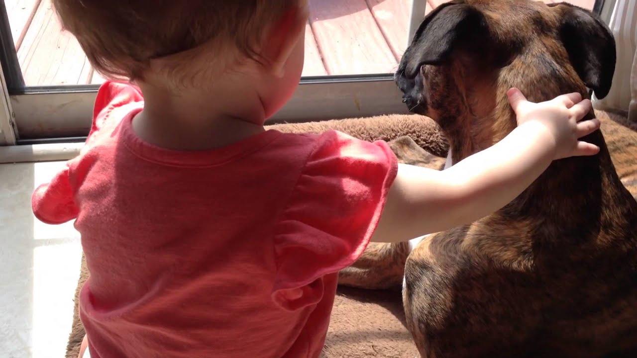 Teagan gives Dora hugs!