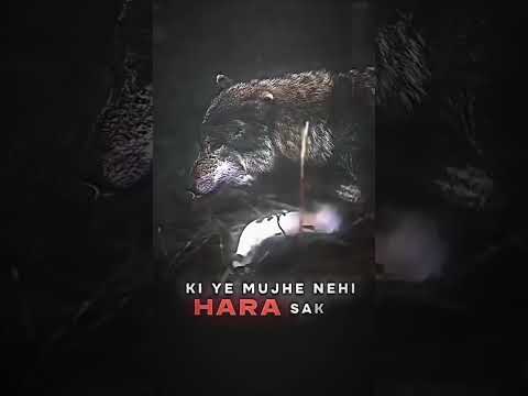 meaning of aira☠️☠️☠️👿
