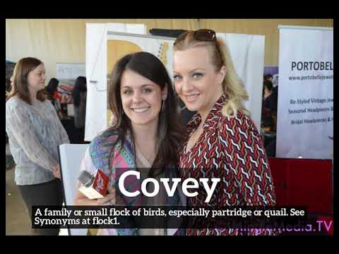 How to Say Covey in English? | What is Covey? | How Does Covey Look?