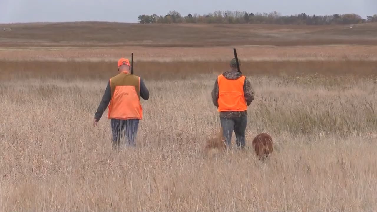 Conservation Reserve Program Acreage is Highest in a Decade